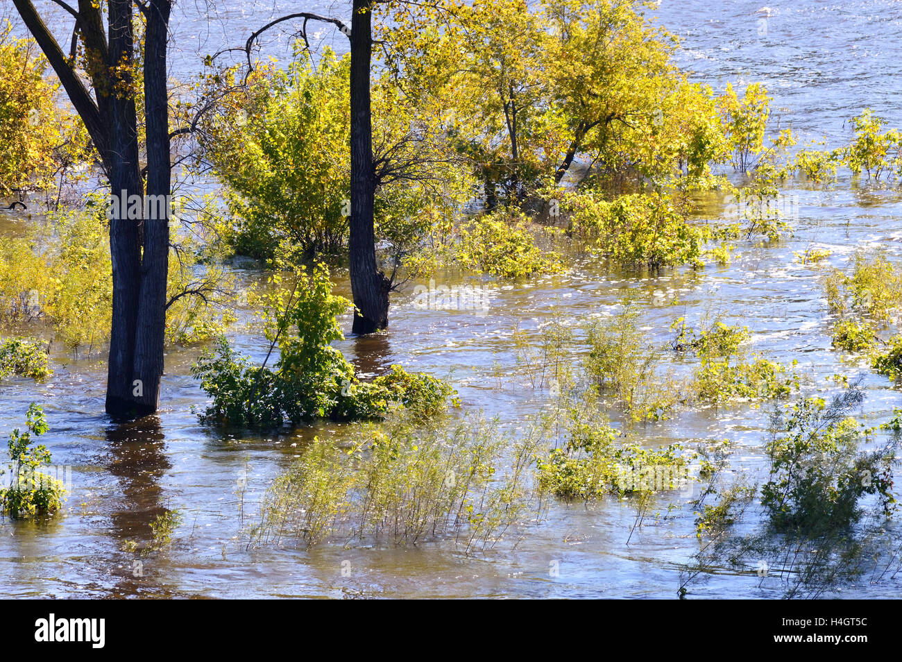 High Water Level in the River Stock Photo - Alamy