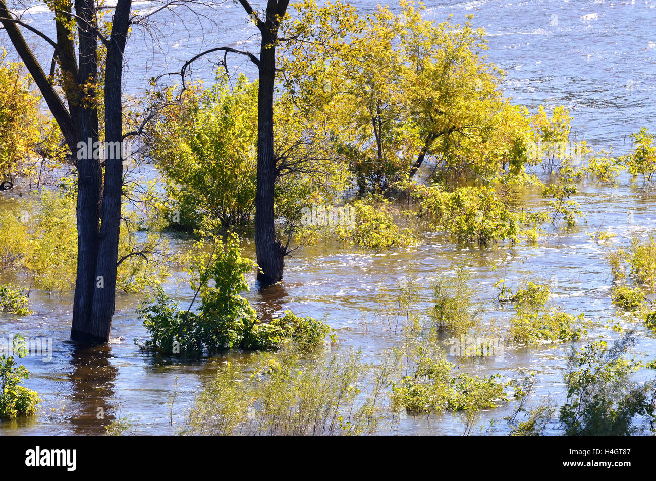 High Water Level in the River Stock Photo - Alamy