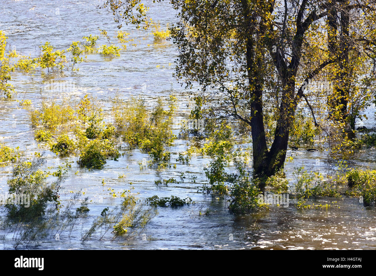 High Water Level in the River Stock Photo - Alamy