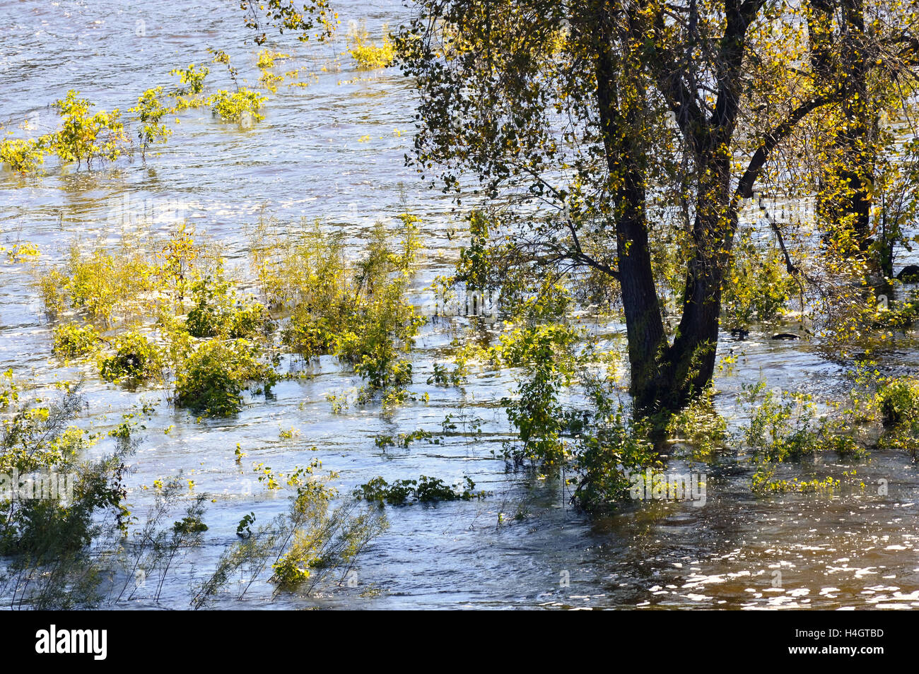 High Water Level in the River Stock Photo - Alamy