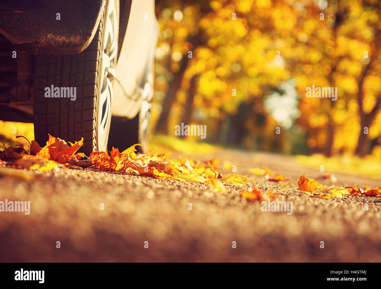 Car on asphalt road in autumn Stock Photo - Alamy