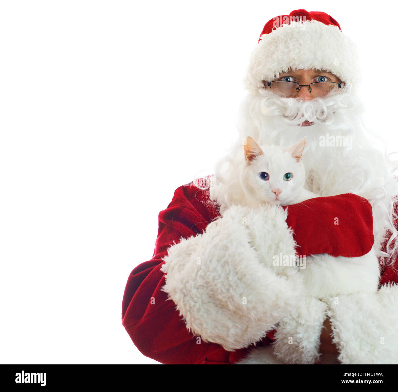 Santa Claus holding white cat. Space Isolated on white background Stock ...