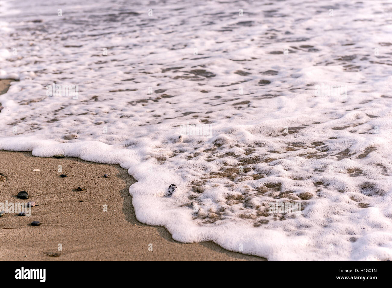 Close up to sea foam at the beach Stock Photo - Alamy