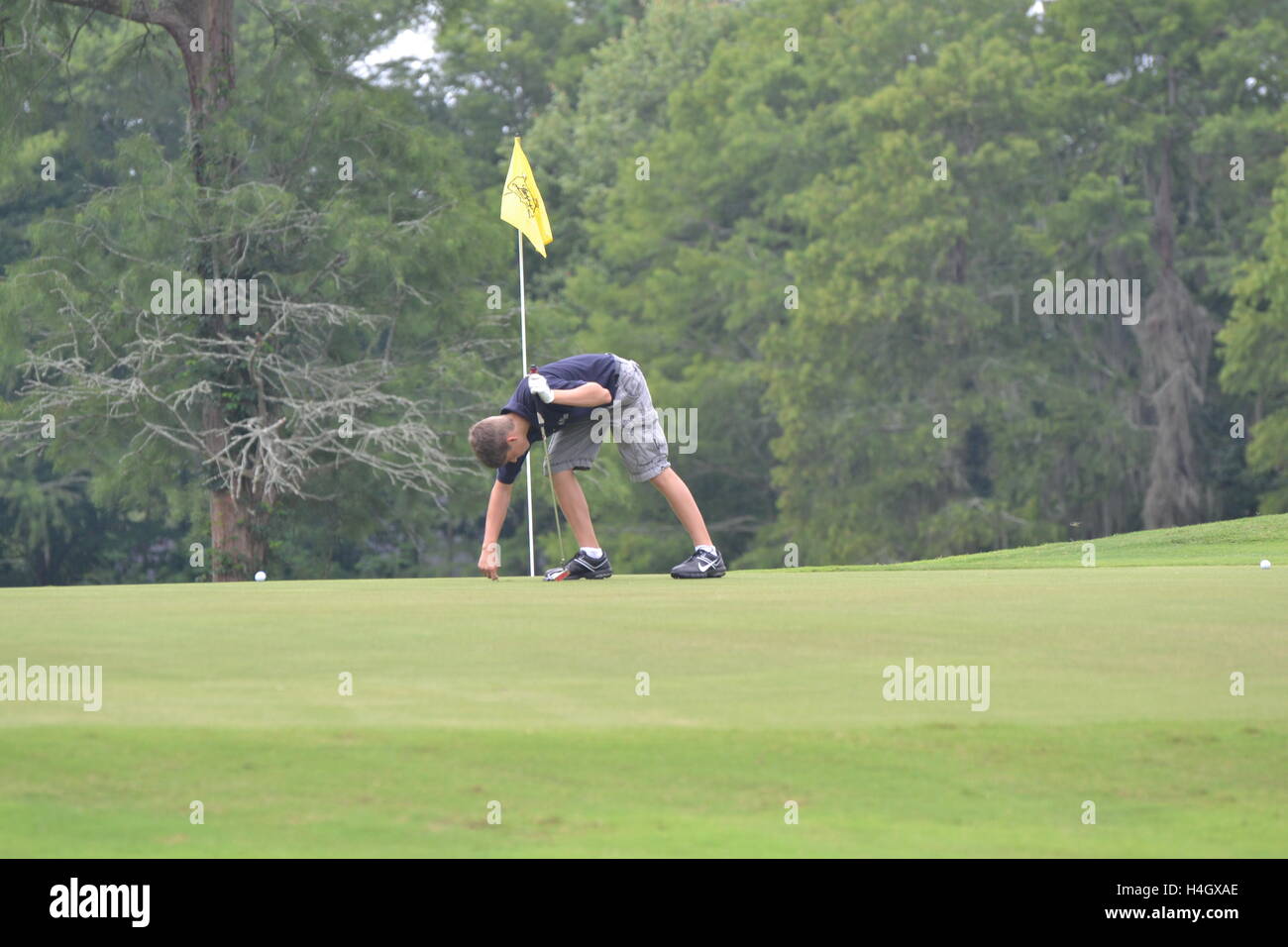 Golfer fixing a ball mark on the green Stock Photo - Alamy