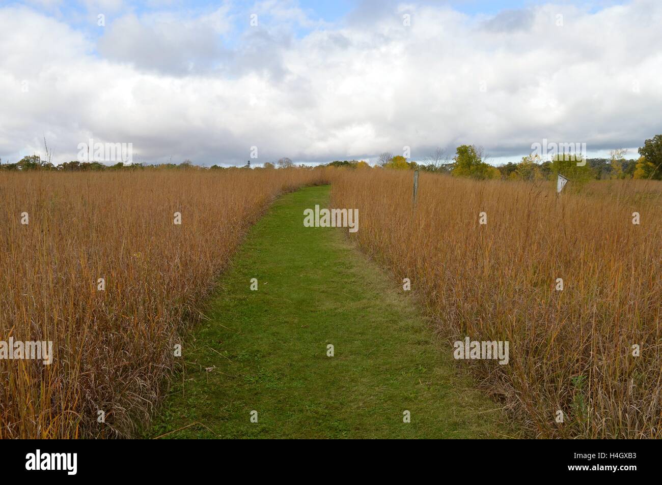 Path Through the Prairie Stock Photo - Alamy