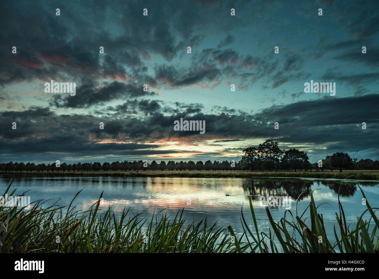Sunset over a pond in Hampton Court Park, London Stock Photo - Alamy