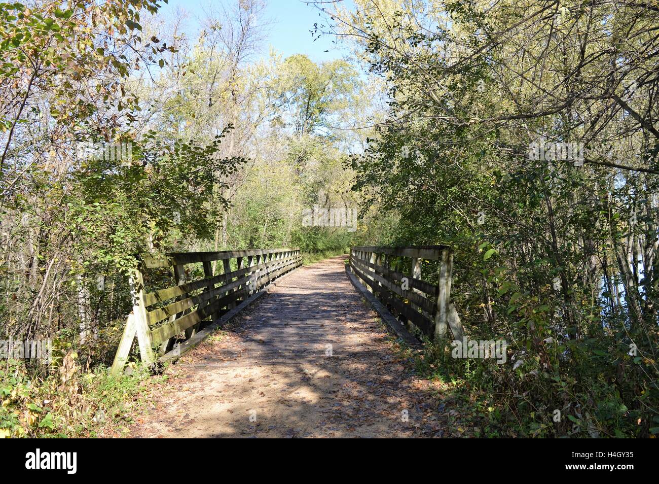 Bridge in the Woods Stock Photo - Alamy