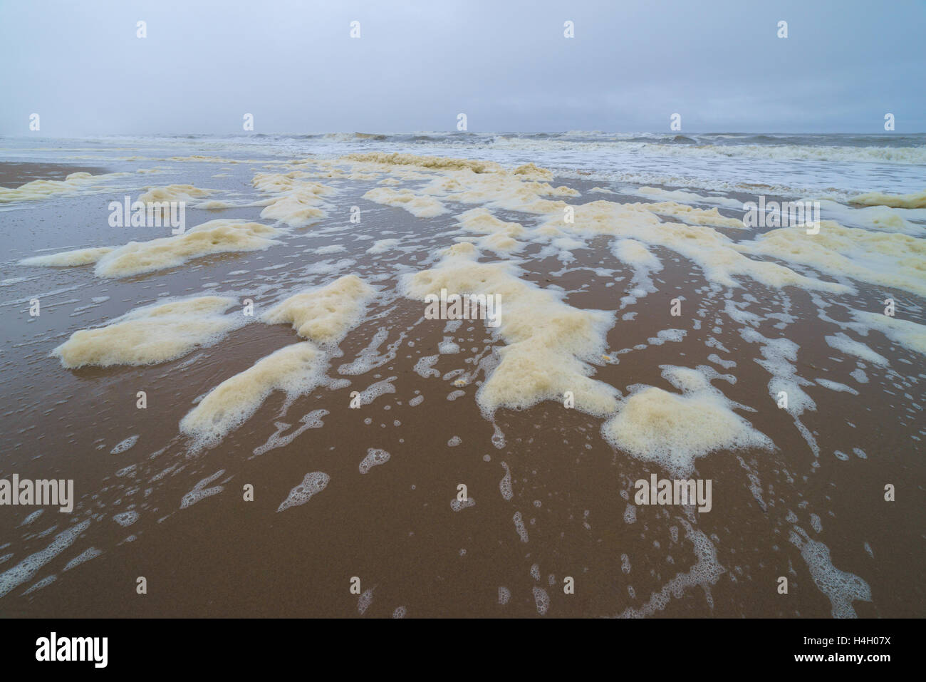 Sea foam on the shore, Sakhalin Island, Russia Stock Photo - Alamy