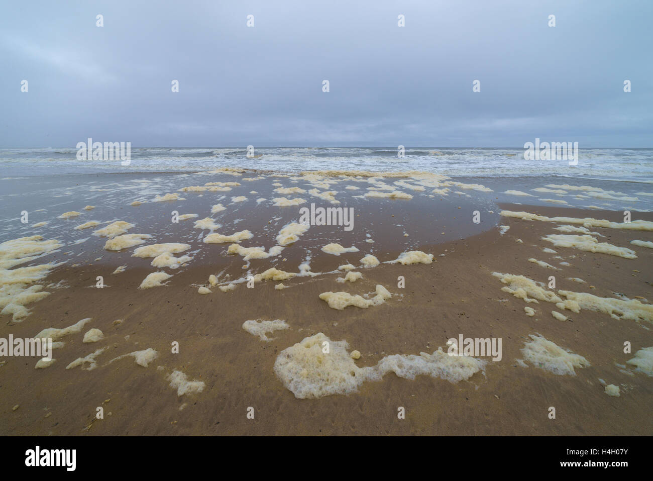 Sea foam on the shore, Sakhalin Island, Russia Stock Photo - Alamy