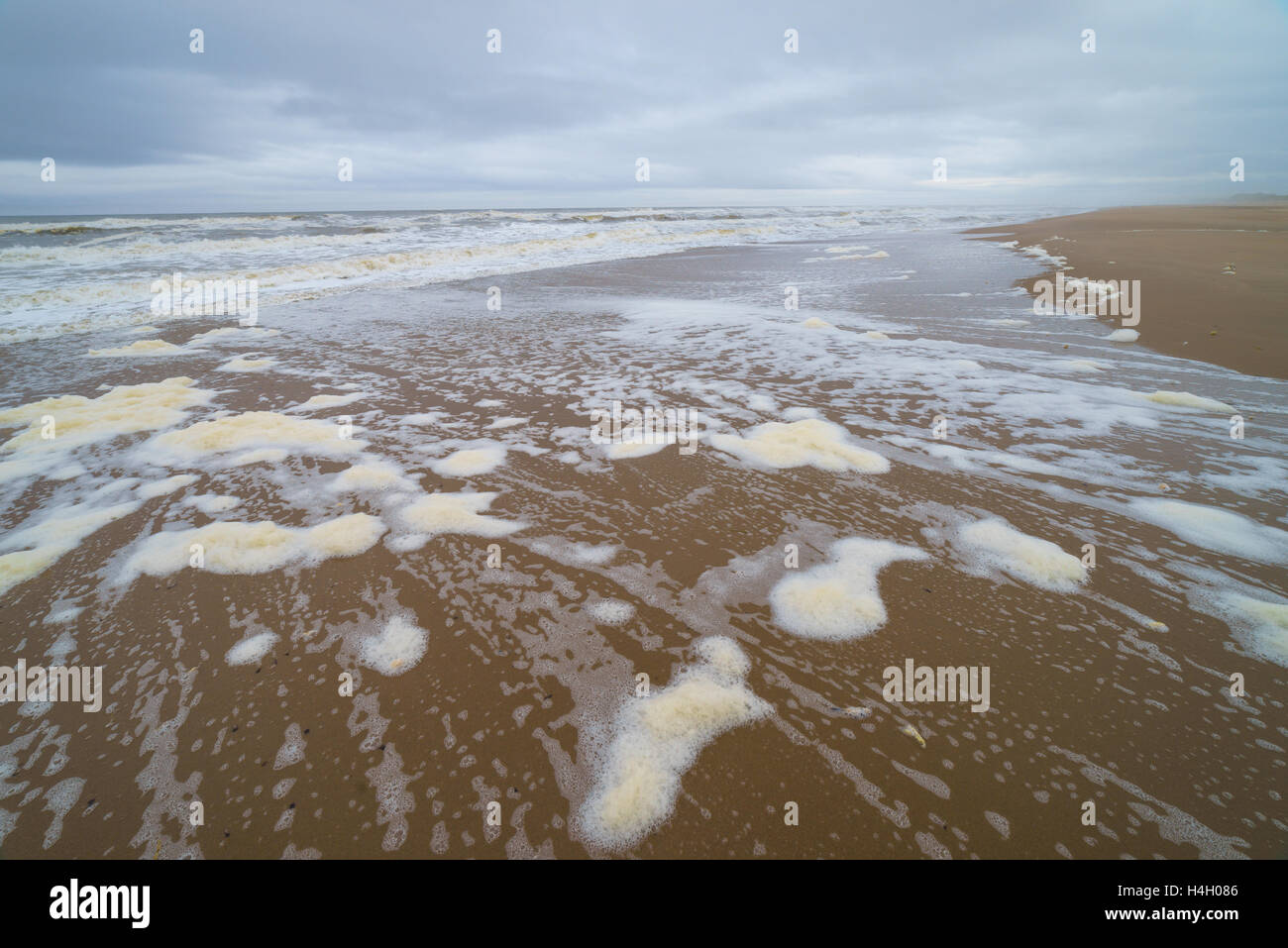 Sea foam on the shore, Sakhalin Island, Russia Stock Photo - Alamy