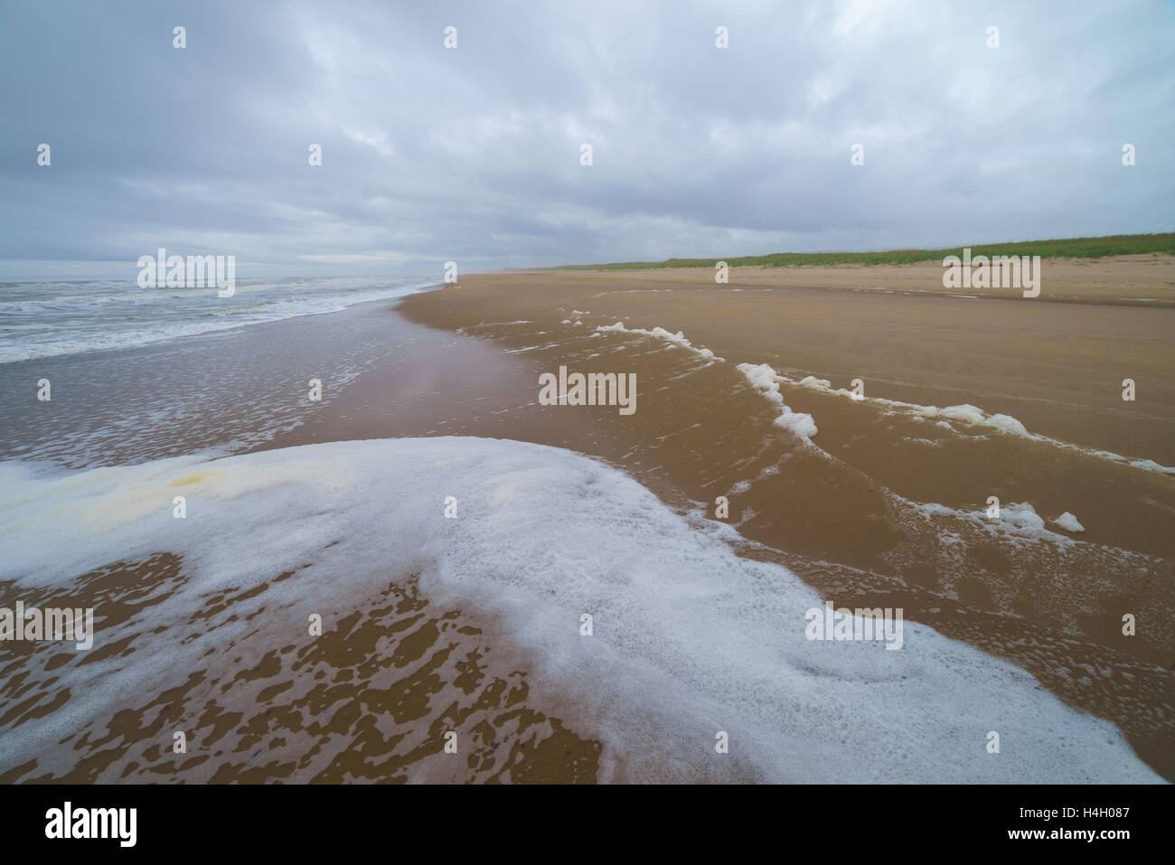 Sea foam on the shore, Sakhalin Island, Russia Stock Photo - Alamy