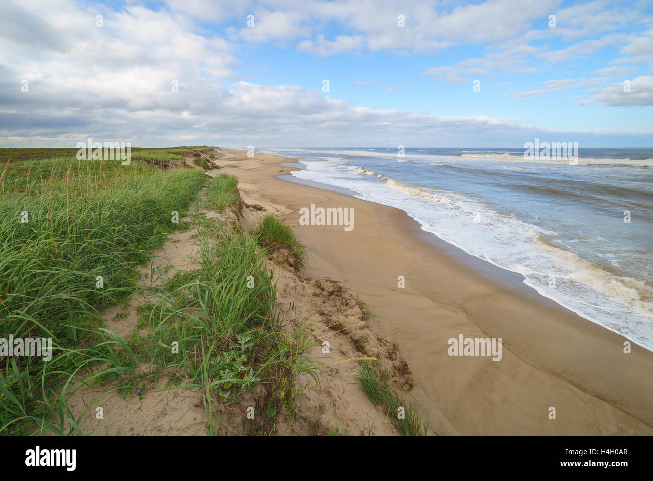 North coast of Sakhalin Island, Russia Stock Photo - Alamy