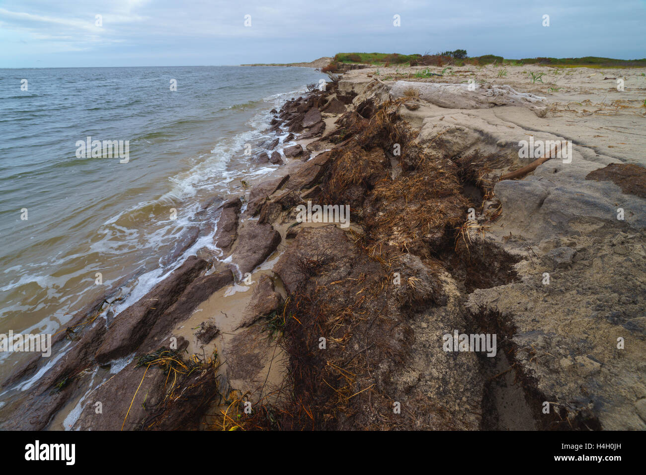 Natural peat pieces on the seashore, Sakhalin Island, Russia Stock ...