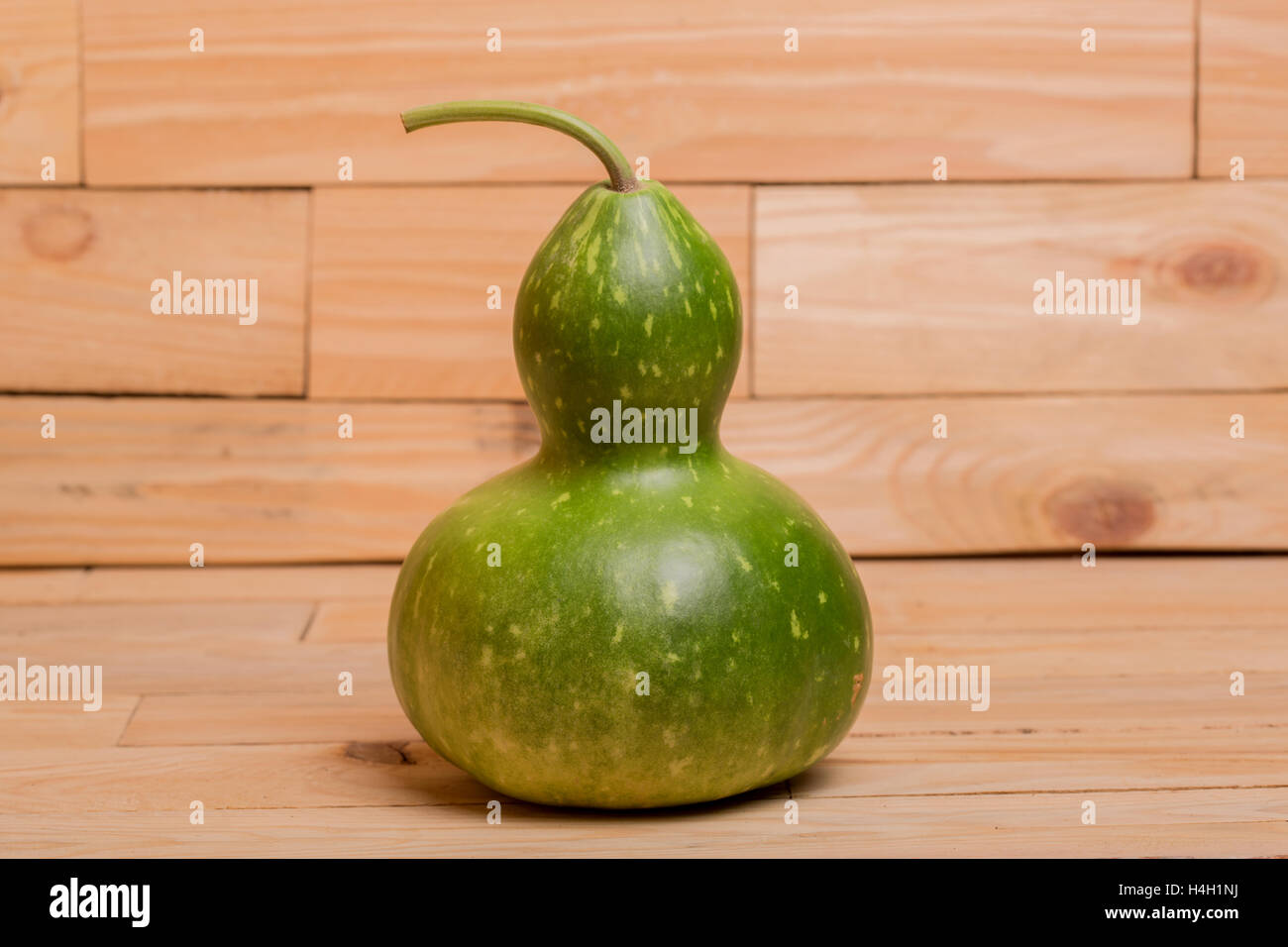 green calabash or Chinese Bottle Gourd is used by many cultures around ...