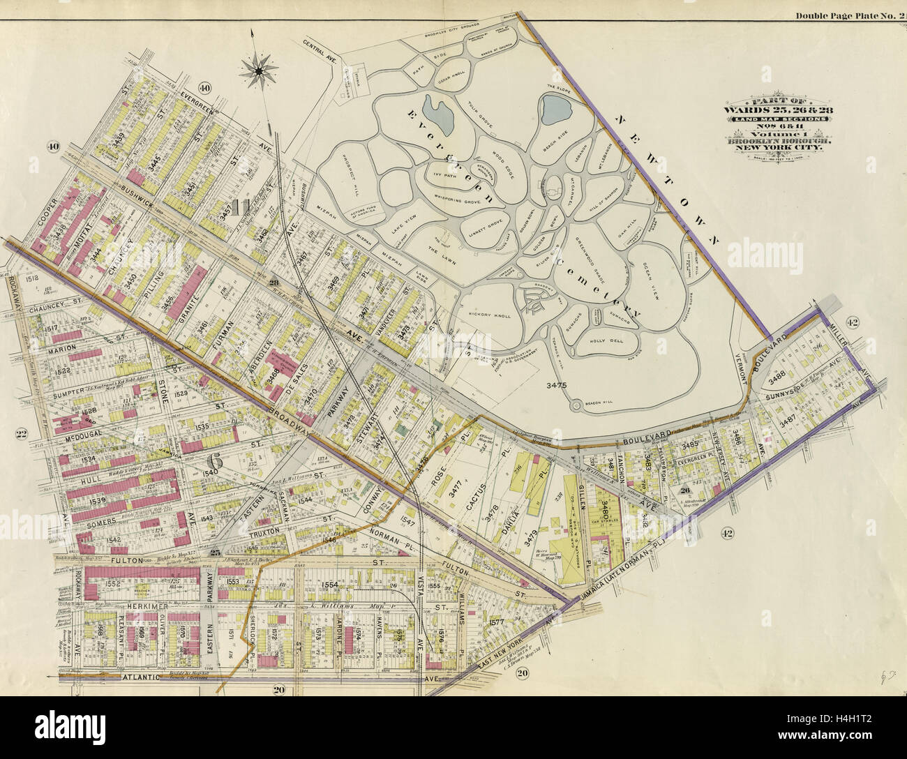 Map of evergreen hi-res stock photography and images - Alamy
