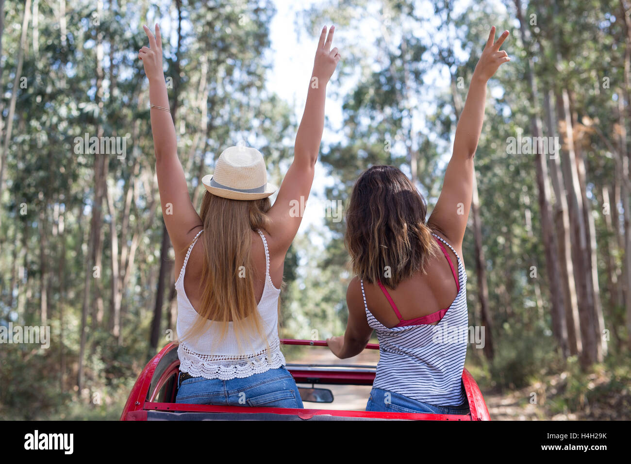 Group of friends on a roadtrip through countryside Stock Photo - Alamy