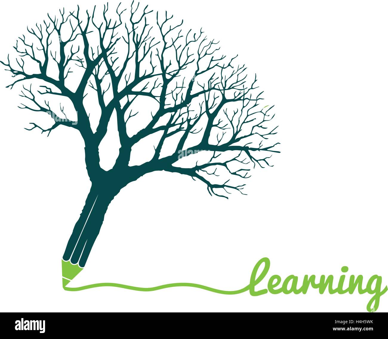 Study tree trunk Cut Out Stock Images & Pictures - Alamy