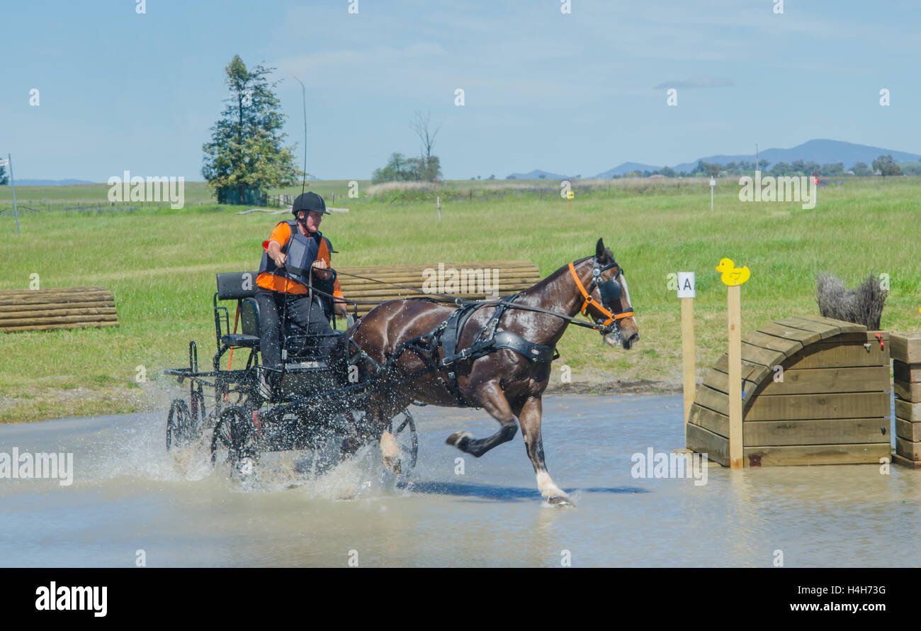 At the Water Hazard in The Horse Driving Trials Club (Australia ...