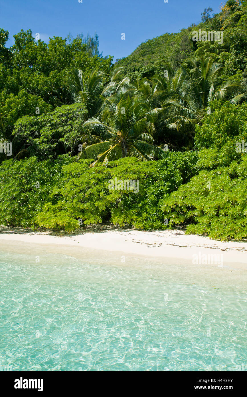 Micronesia palau beach beaches hi-res stock photography and images - Alamy