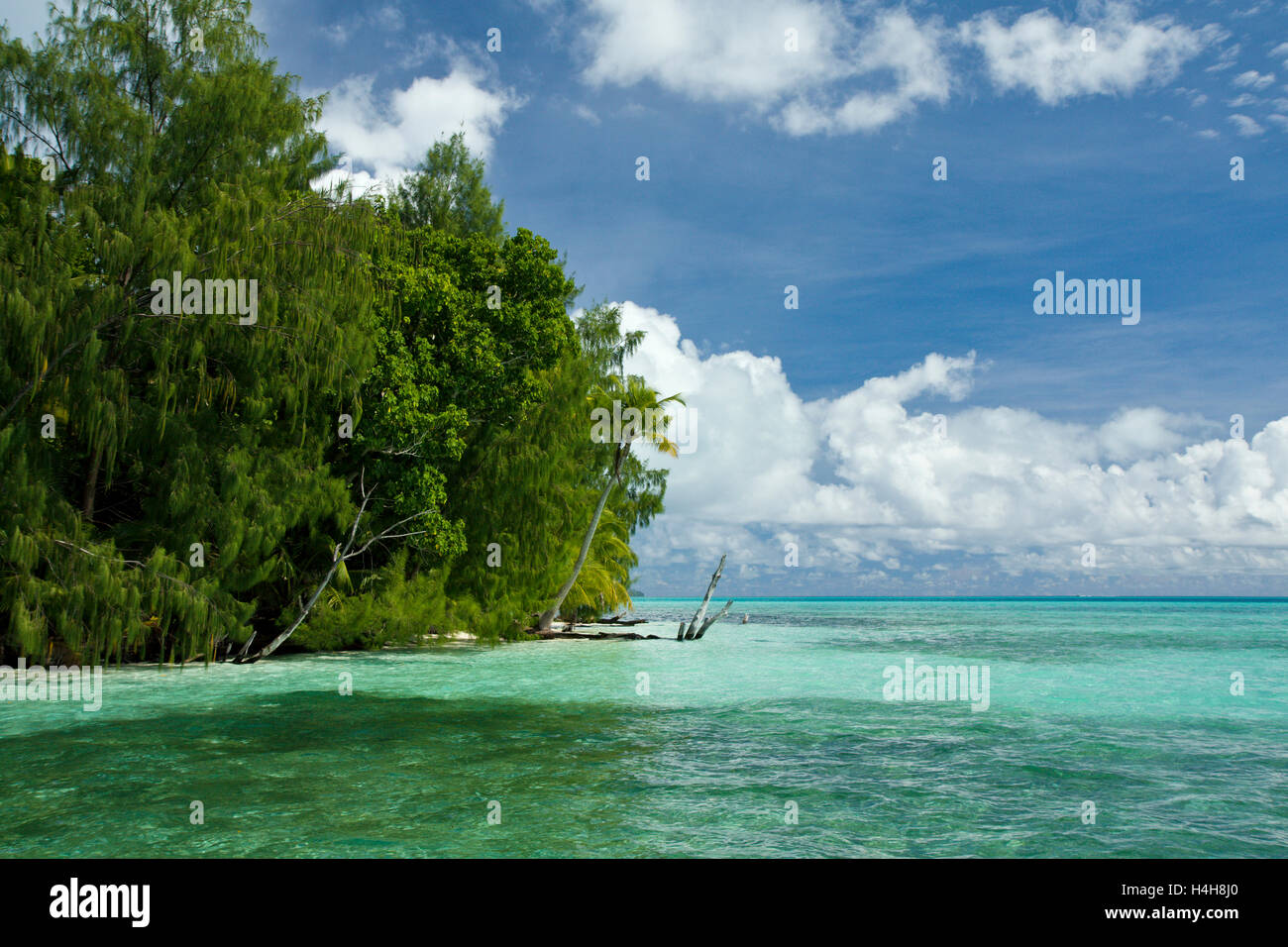 Tropical beach, Palau, Micronesia, Pacific Stock Photo - Alamy