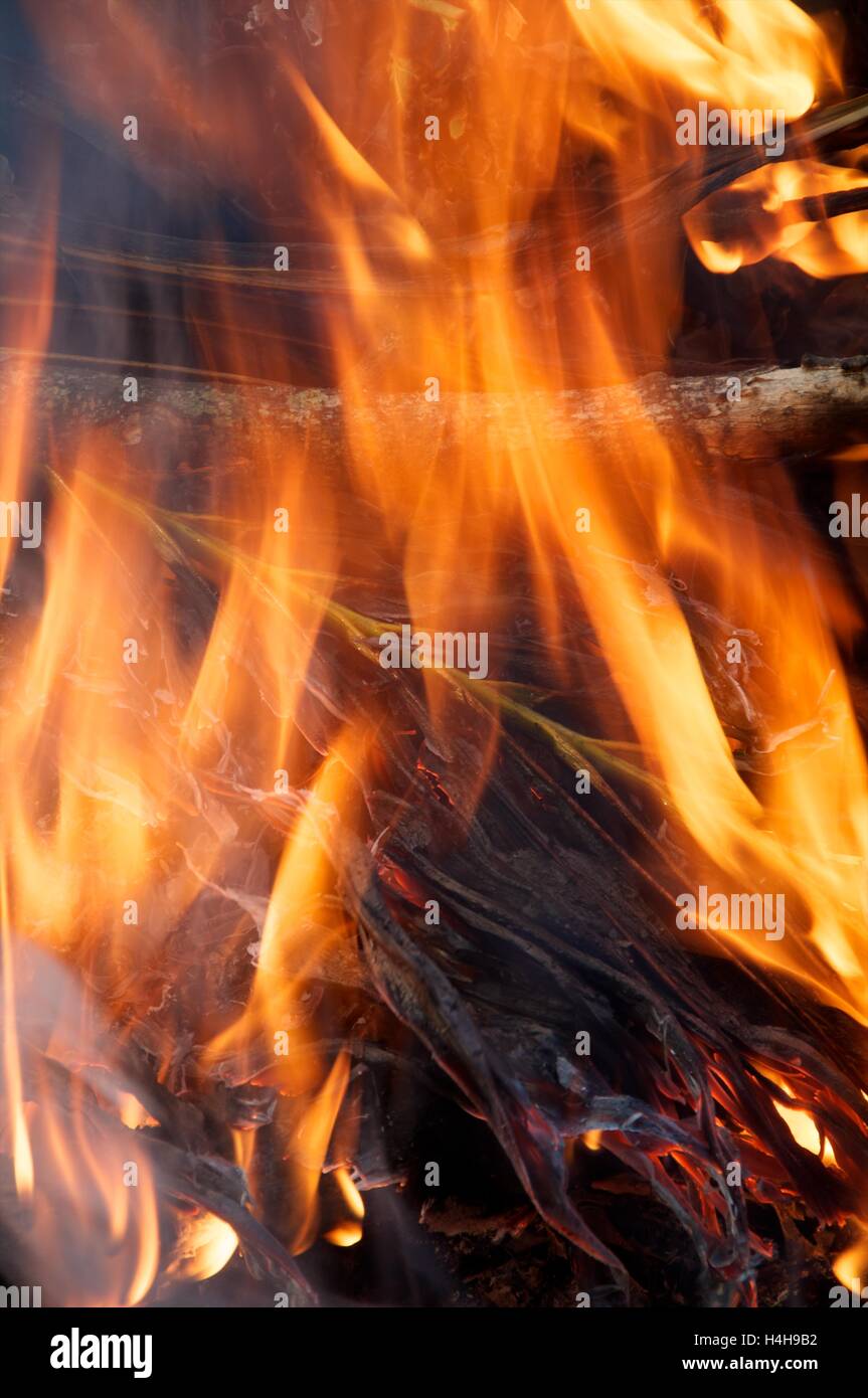 Fire leaves hi-res stock photography and images - Alamy