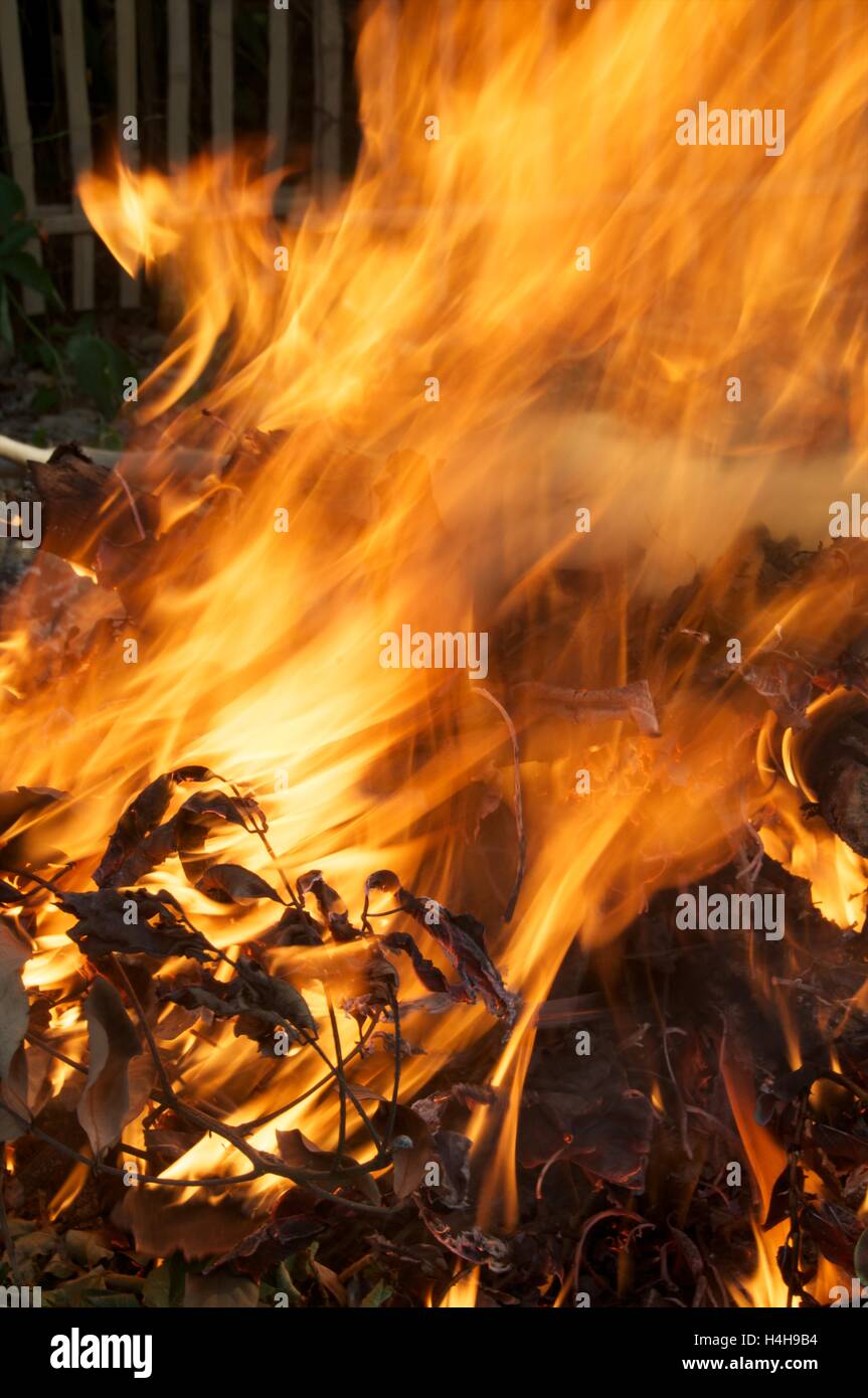 Leaves burning hi-res stock photography and images - Alamy