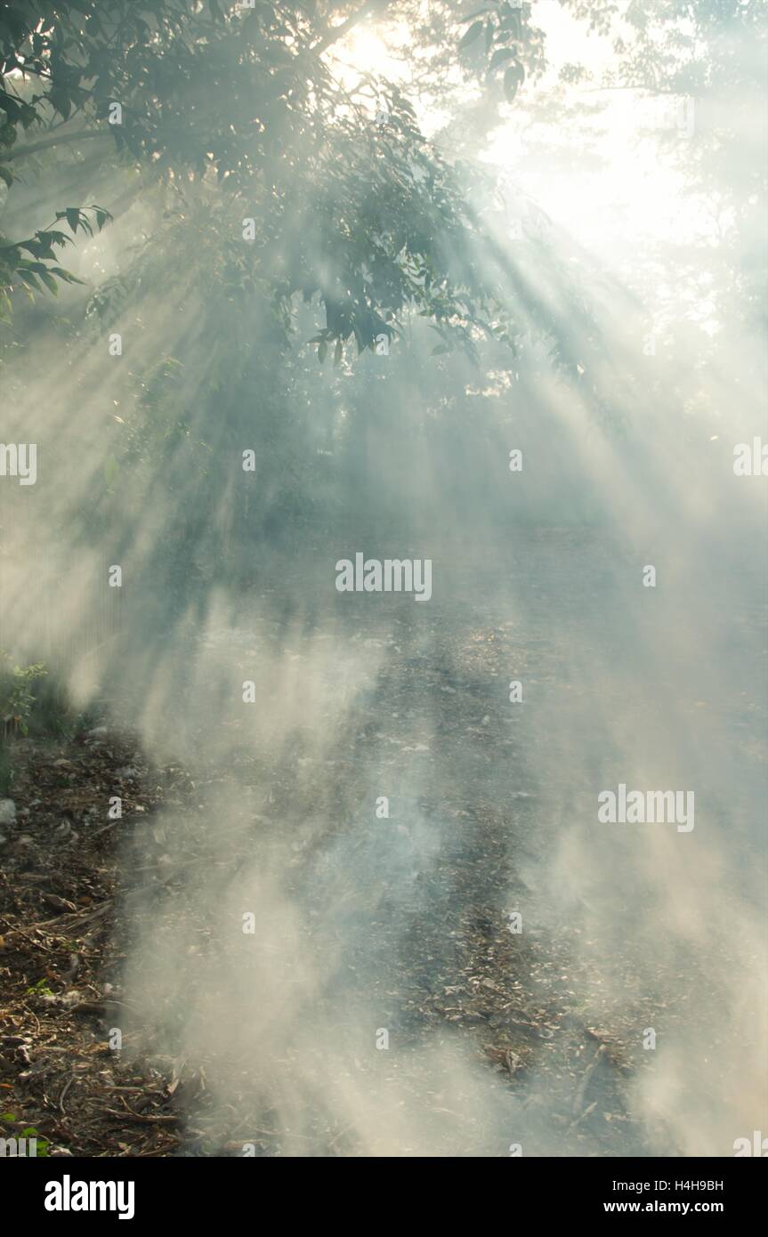 Sun through smoke Stock Photo - Alamy