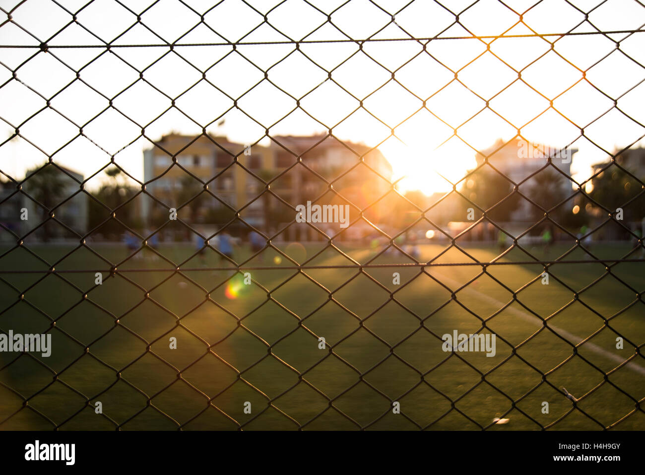 Football field behind the wire netting in the evening Stock Photo - Alamy