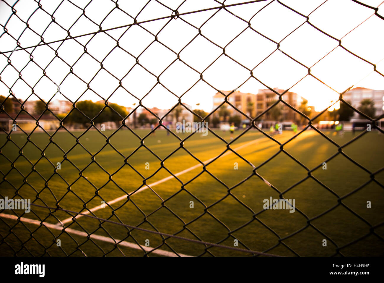Football field behind the wire netting in the evening Stock Photo - Alamy