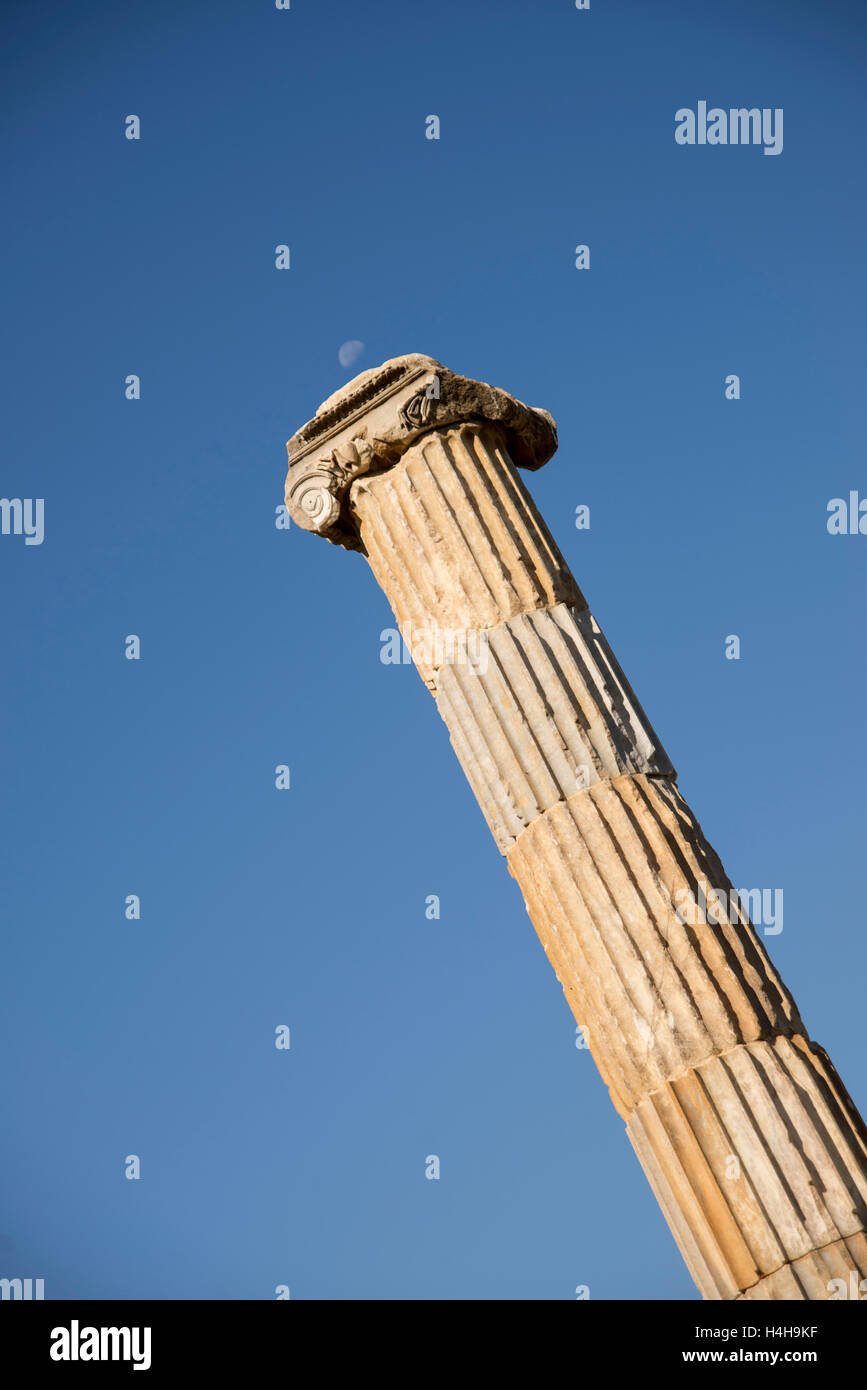 Claros the ancient city is in ozdere menderes izmir turkey. September ...