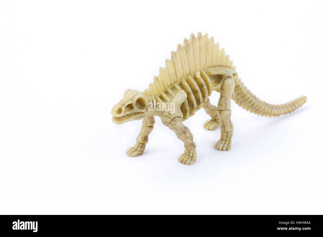 Dimetrodon dinosaur hi-res stock photography and images - Alamy