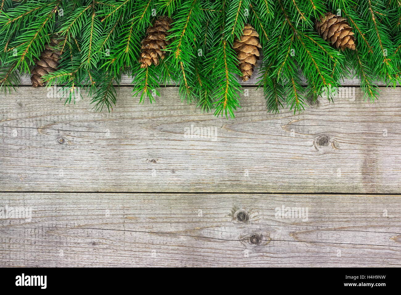Horizontal christmas background branch hi-res stock photography and ...