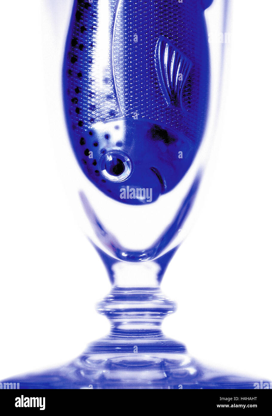 Empty fish tank hi-res stock photography and images - Alamy