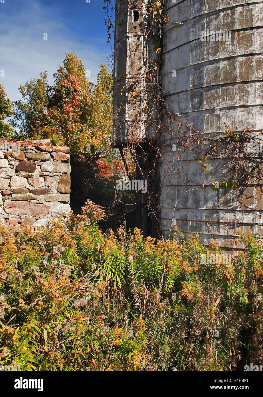 abandoned barn ruins Stock Photo - Alamy