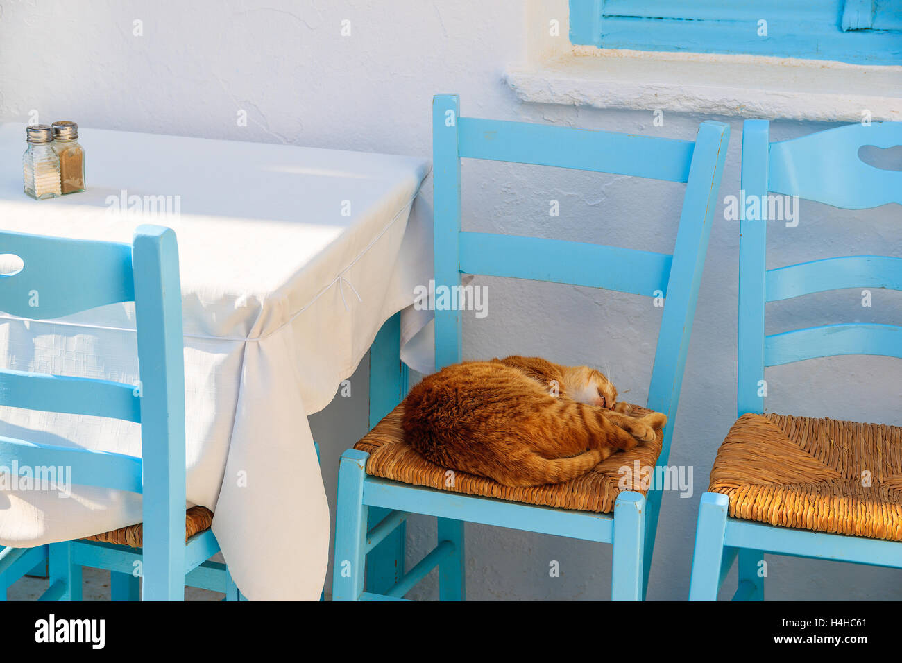 A cat sleeping on a chair in Greek taverna, Naoussa village, Paros ...