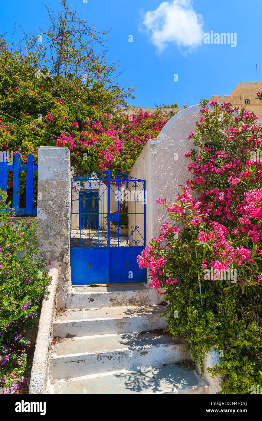 Blue gate to Greek old house decorated with bougainvillea flowers ...