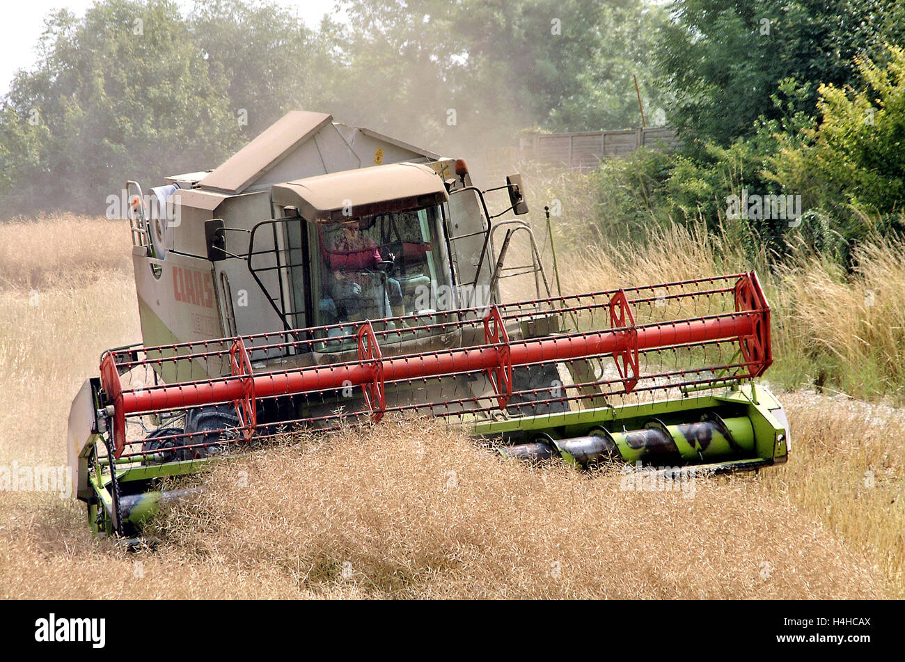 Class combine harvester hi-res stock photography and images - Alamy