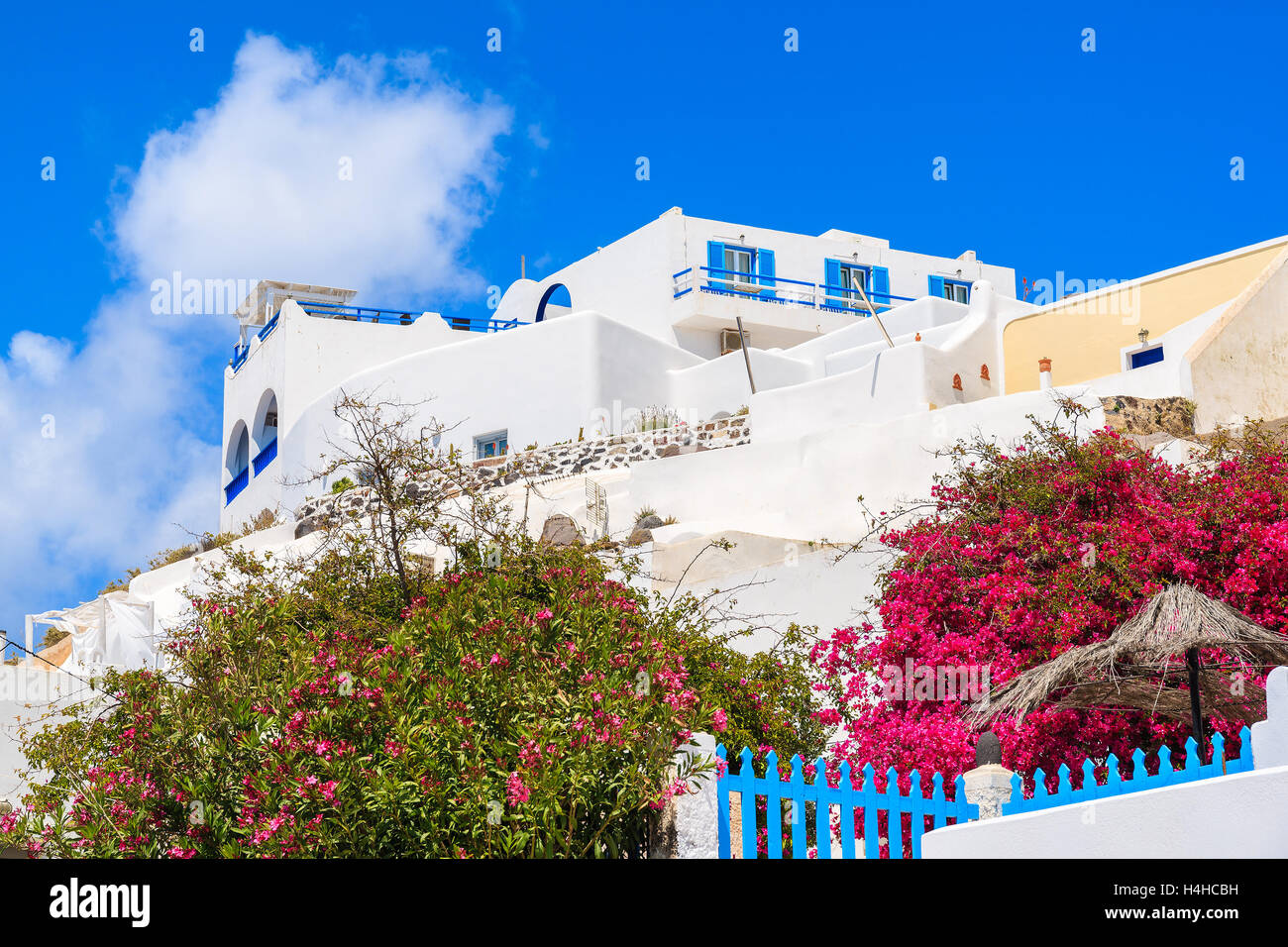 Typical Greek houses with flowers in foreground in Firostefani village ...