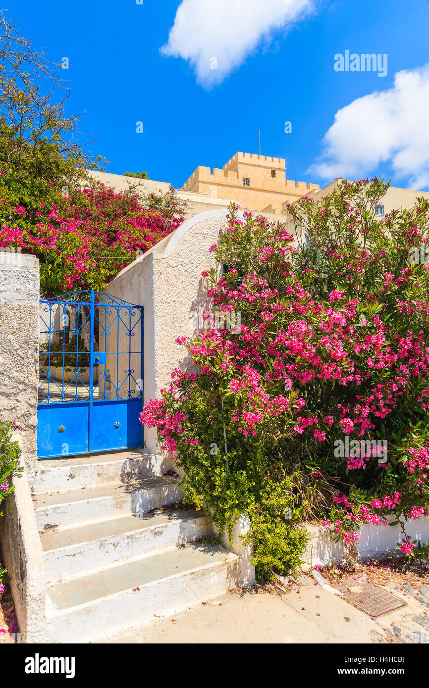 Blue gate decorated with flowers to typical Greek house in Firostefani ...