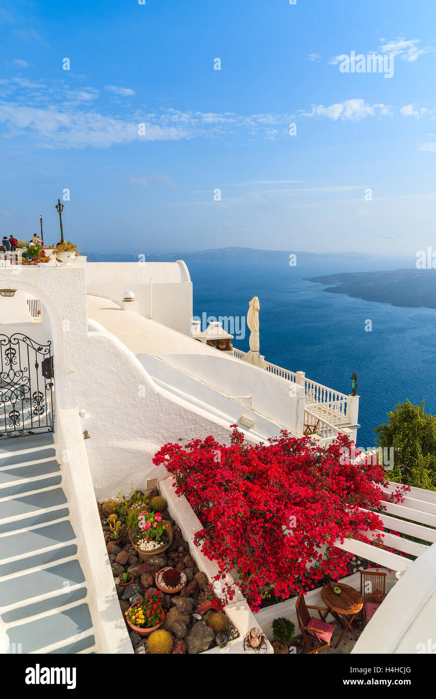 A view of caldera and typical red flowers on terrace of a house in ...