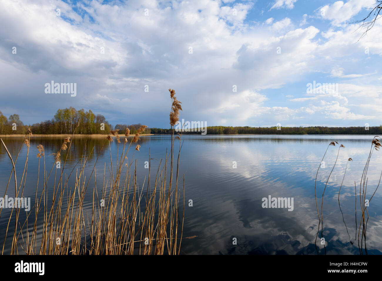 Early spring landscape with reflection on lake sky and clouds Stock ...