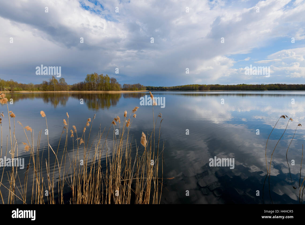 Early spring landscape with reflection on lake sky and clouds Stock ...