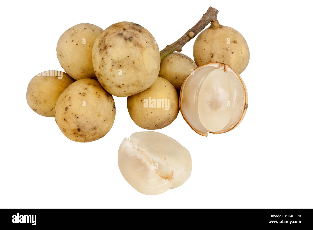southern langsat fruit Stock Photo - Alamy