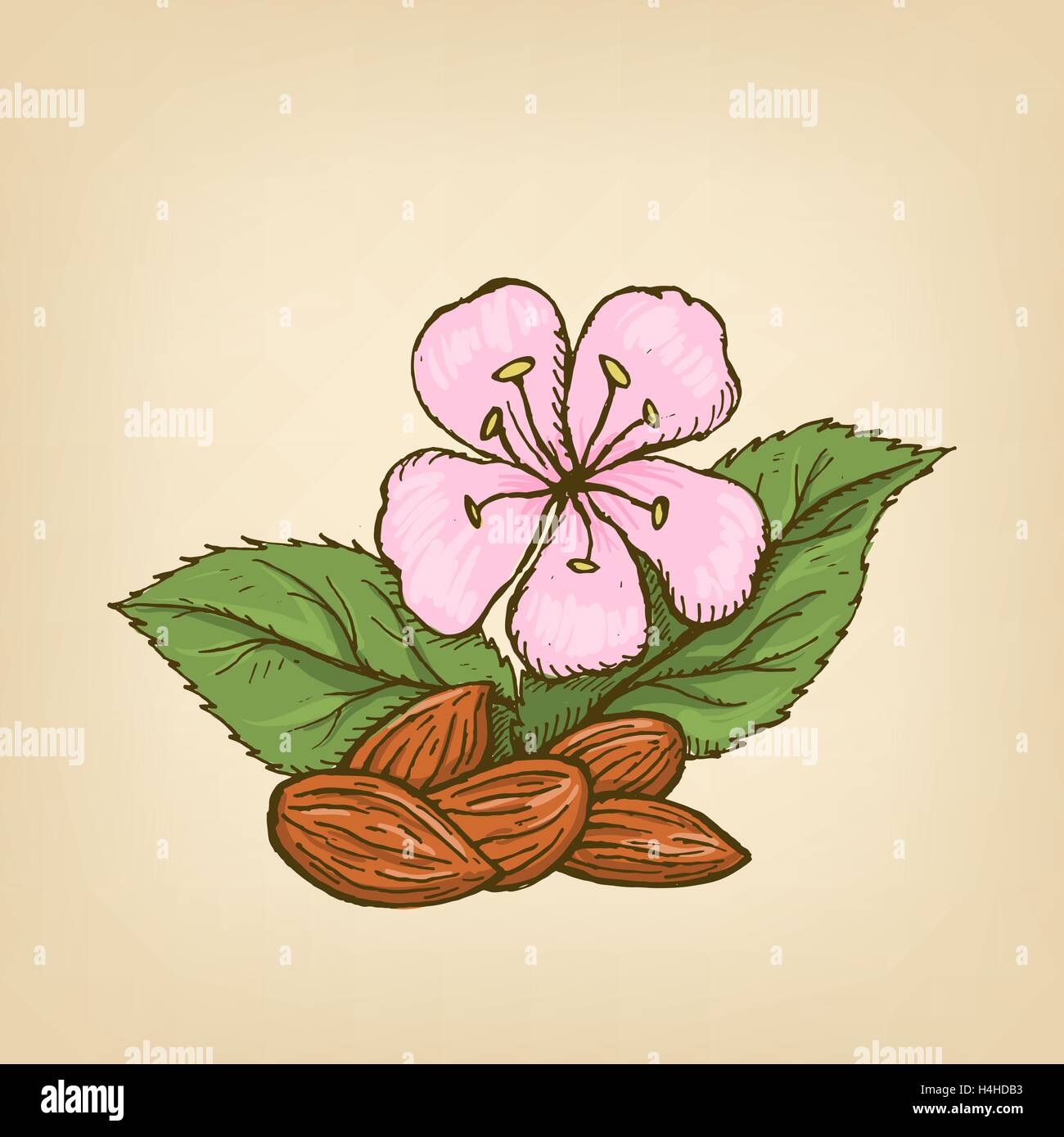Cyanide plant Stock Vector Images - Alamy