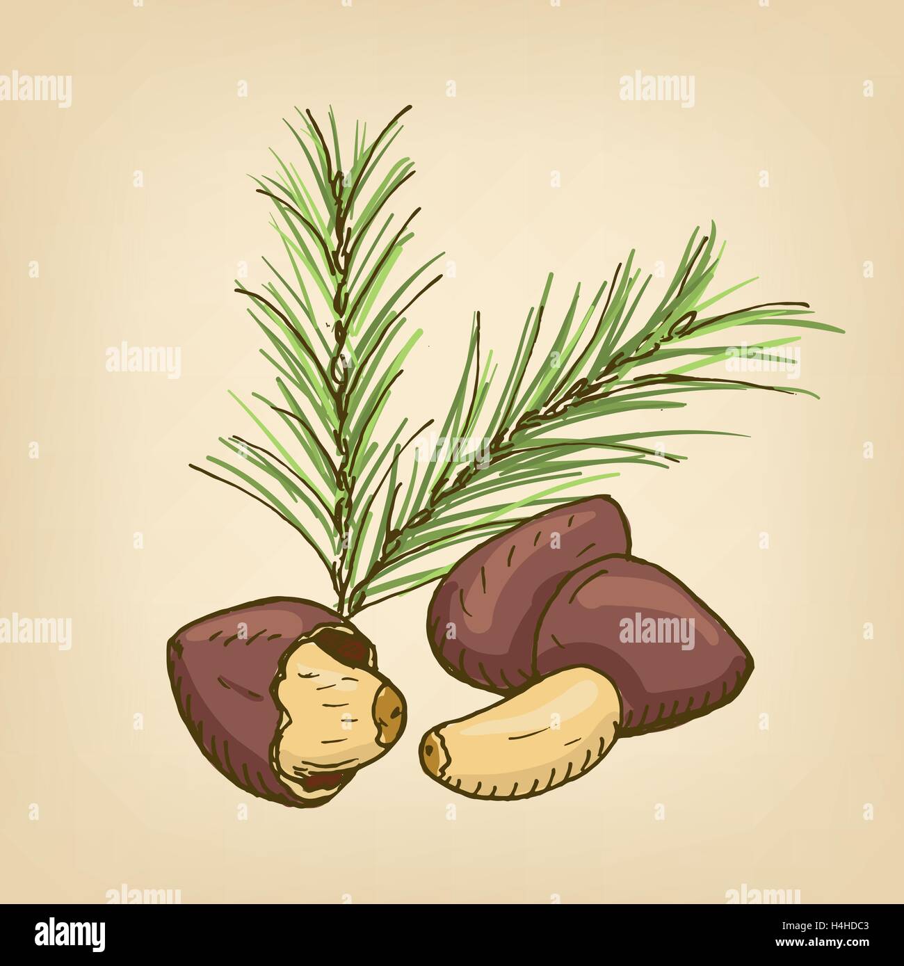 Background food menu brunch Stock Vector Images - Alamy