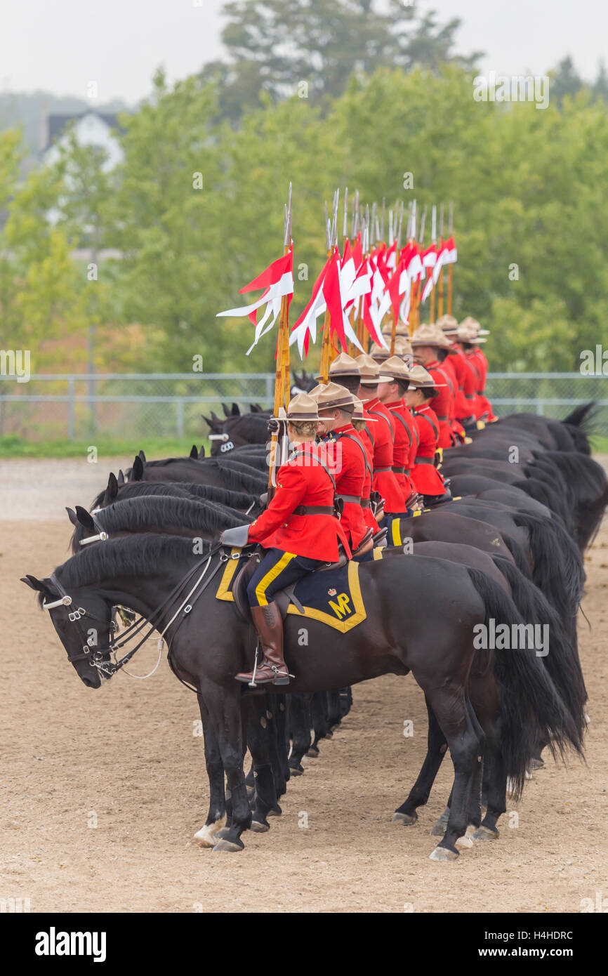 Our proud RCMP performing their Musical Ride performance at the ...