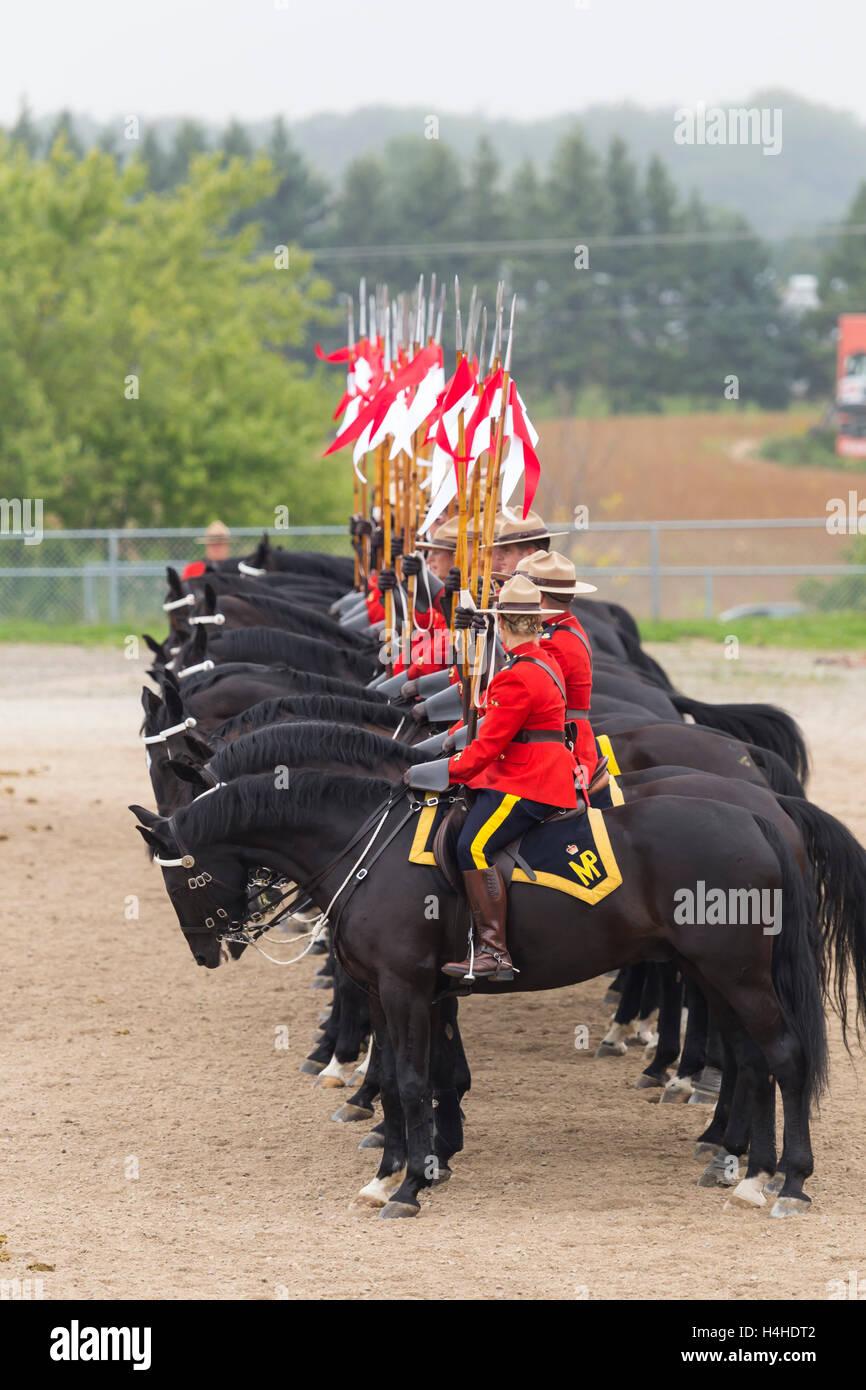 Royal canadian mounties musical ride hi-res stock photography and ...