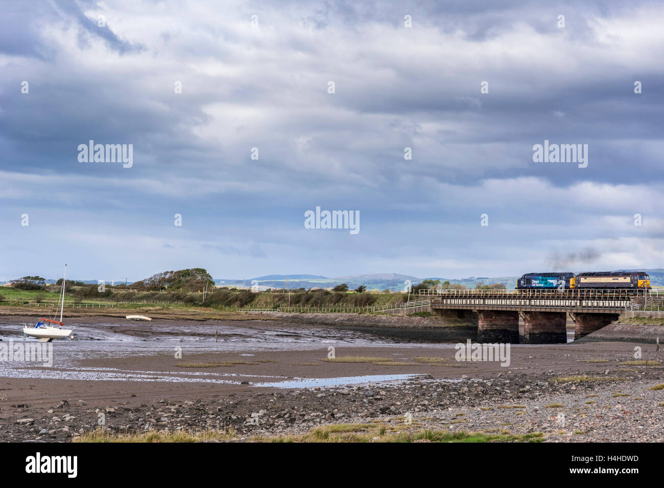 River mite hi-res stock photography and images - Alamy