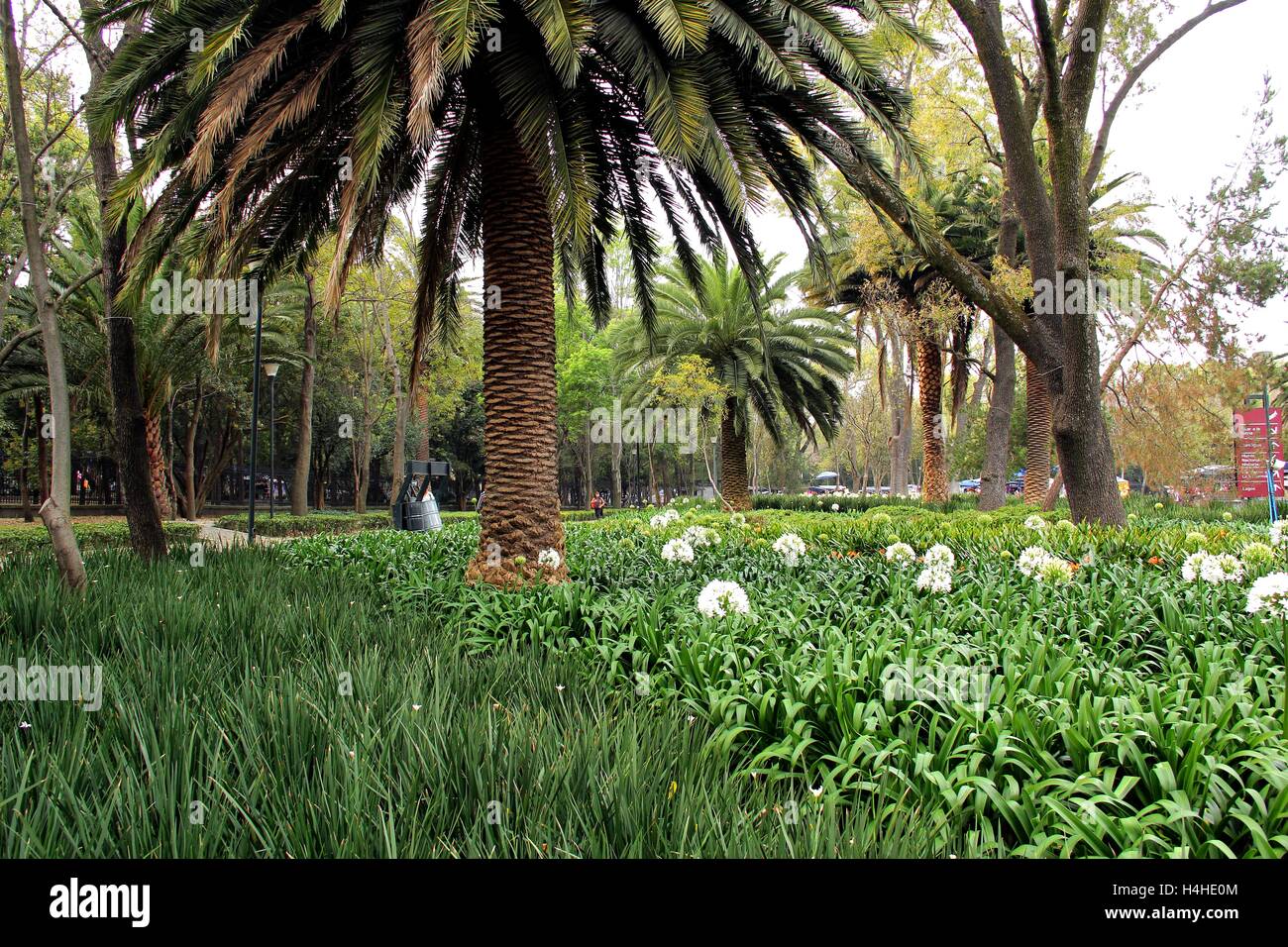 Bosque De Chapultepec Forest High Resolution Stock Photography and ...