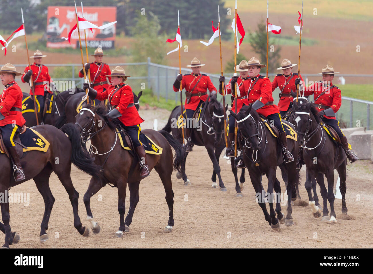 Our proud RCMP performing their Musical Ride performance at the ...